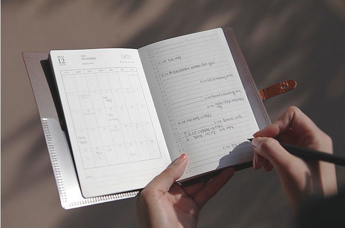MochiThings: Standard Diary Scheduler