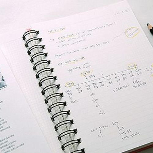 MochiThings: Spring Grid/Lined Notebook