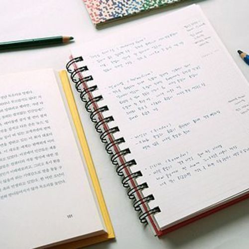 MochiThings: Spring Grid/Lined Notebook