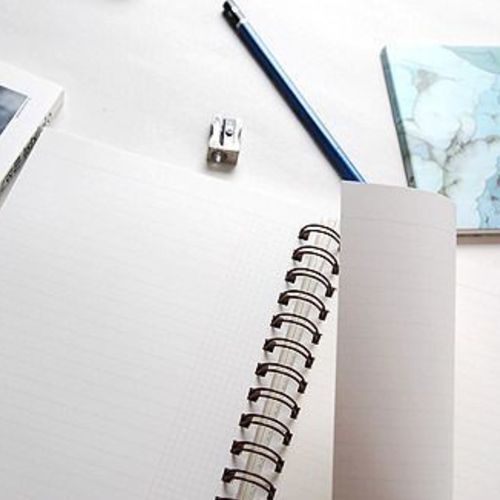 MochiThings: Spring Grid/Lined Notebook