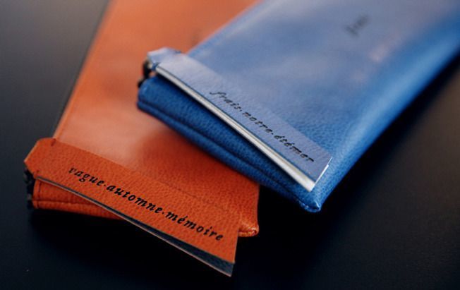 MochiThings: Chroma Pouch