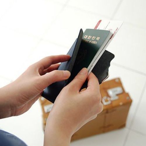 MochiThings: Simple Passport Folder