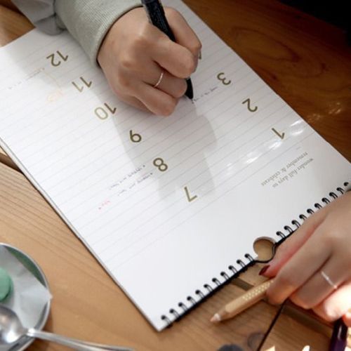 MochiThings: 2017 Large Basic Wall Calendar