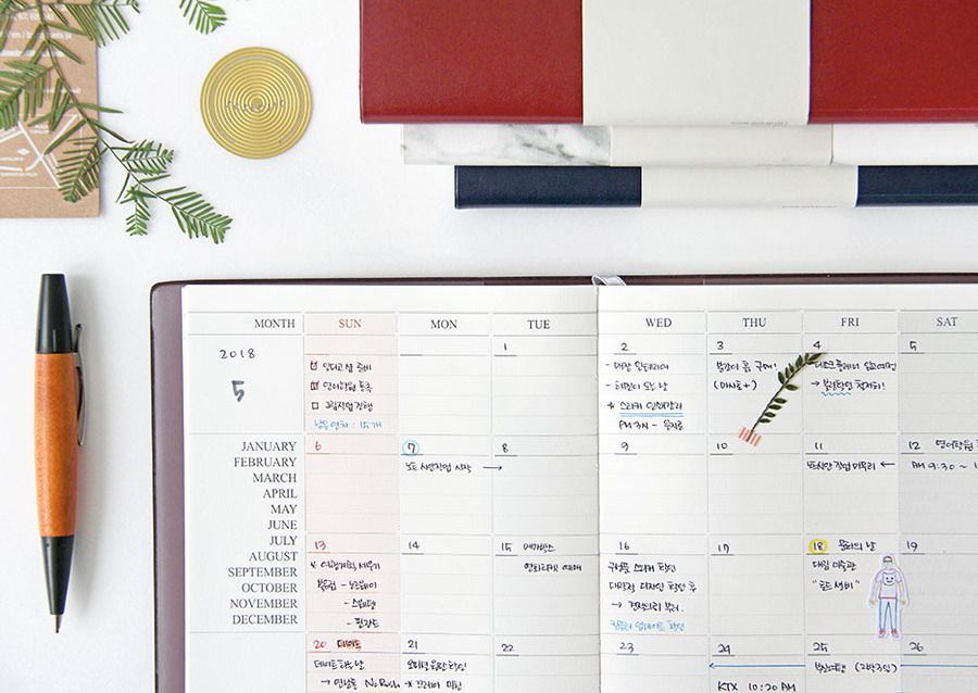 MochiThings: Official Diary Planner