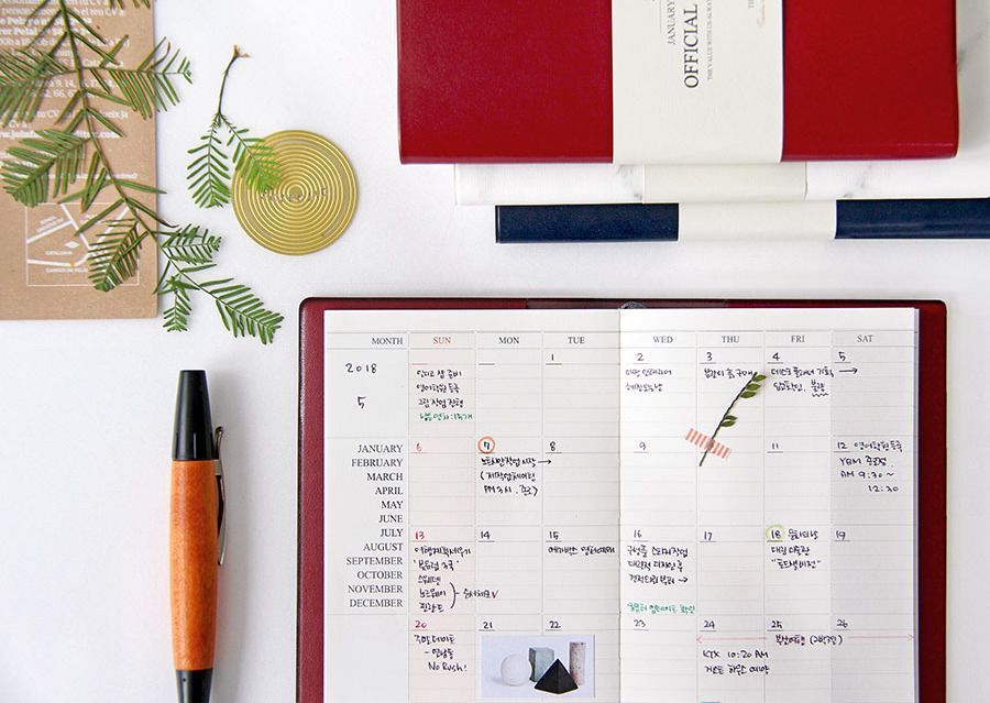 MochiThings: Official Slim Planner