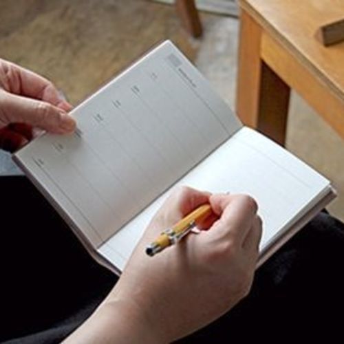 MochiThings: Official Slim Planner