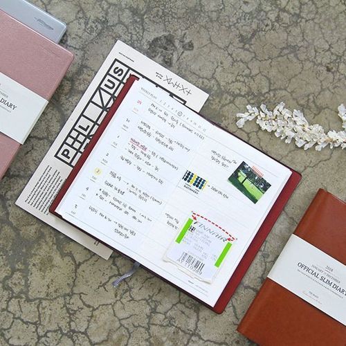 MochiThings: Official Slim Planner