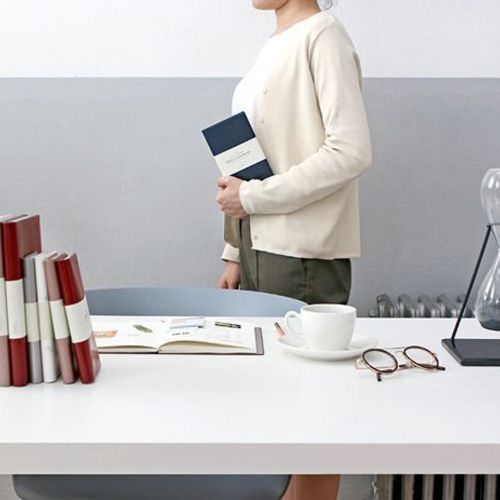 MochiThings: Official Slim Planner