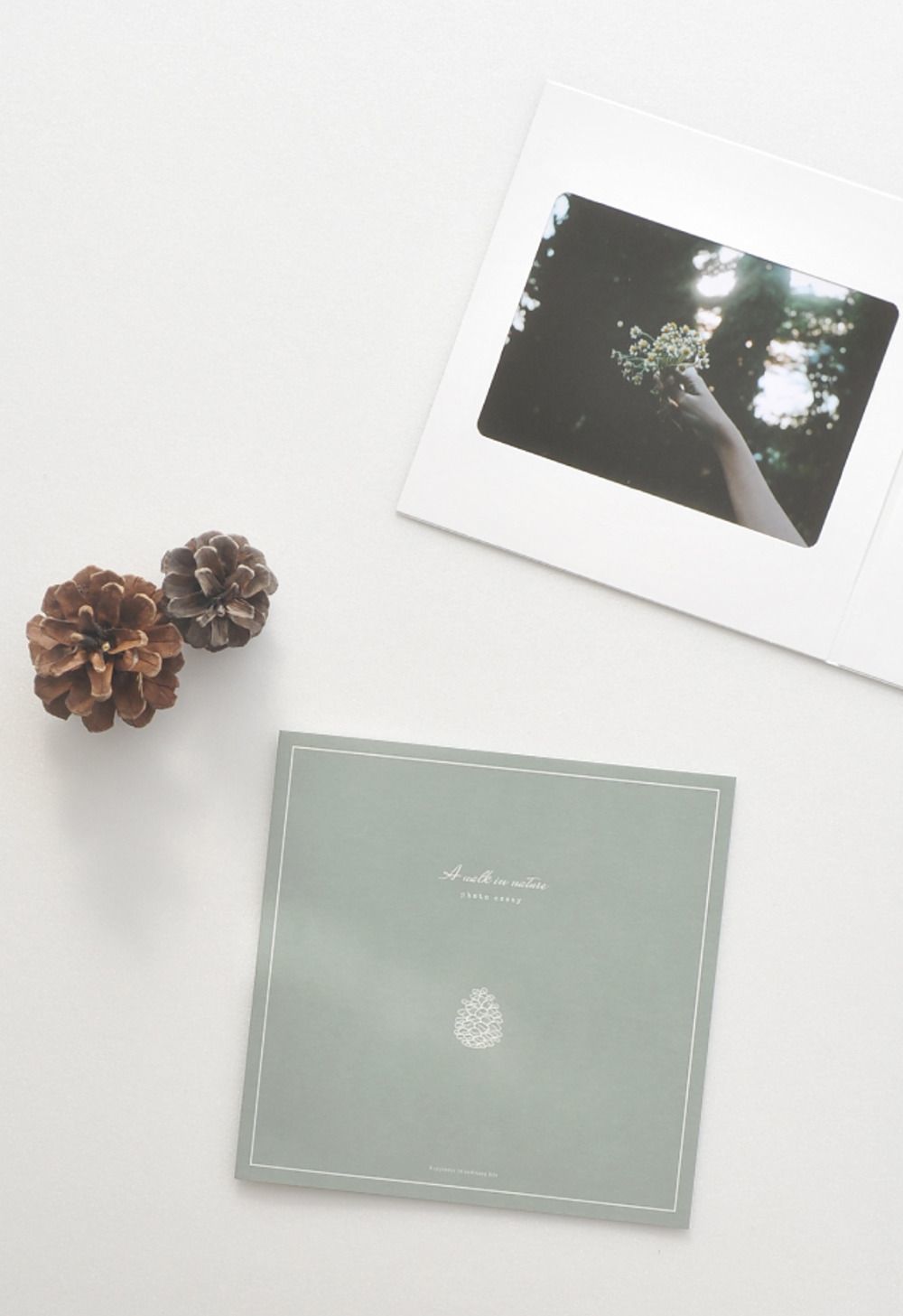 MochiThings: Memory 4x6 Photo Card Set