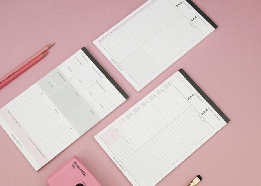 MochiThings: A5 Daily Detailed Planning Notepad