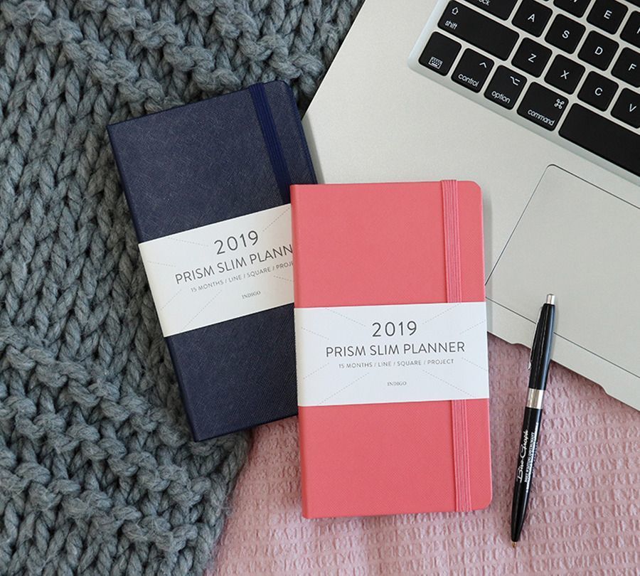 MochiThings: 2019 Prism Slim Planner