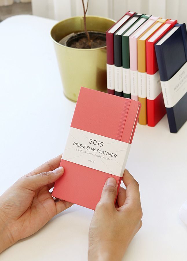 MochiThings: 2019 Prism Slim Planner