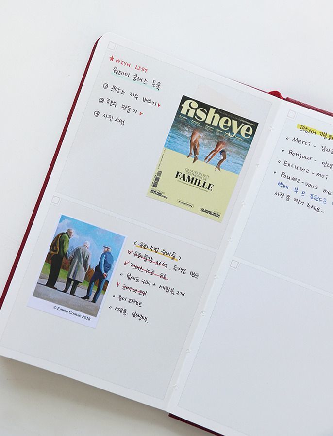 MochiThings: 2019 Prism Slim Planner