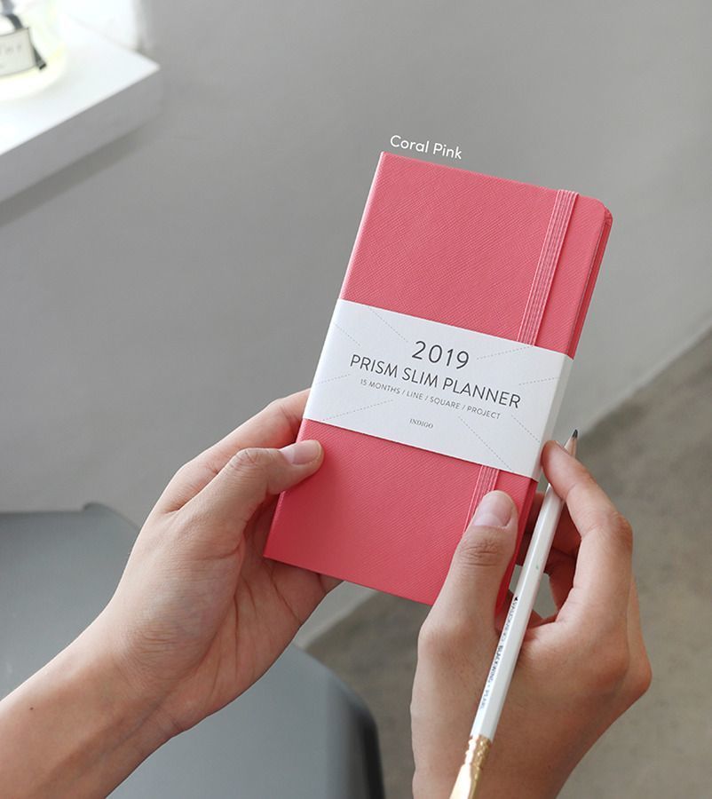 MochiThings: 2019 Prism Slim Planner