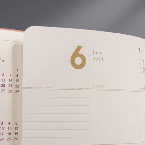 MochiThings: 2019 Large Slim & Wide Weekly Planner