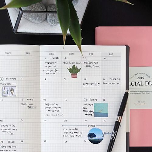 MochiThings: Official Diary Planner v2