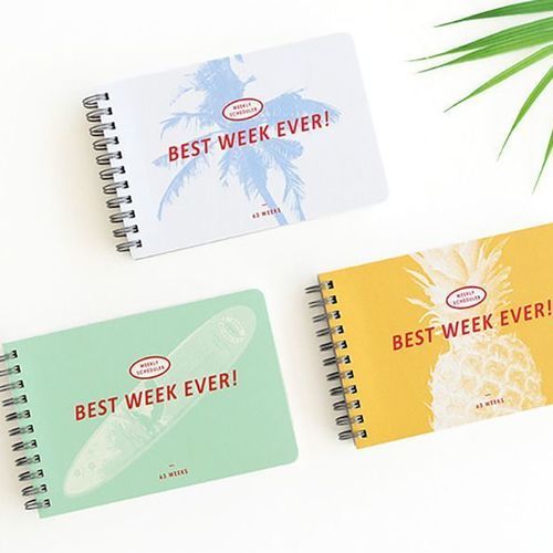MochiThings: Best Week Ever Weekly Planner