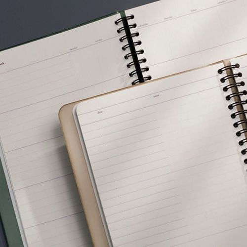 MochiThings: Record Daily Journal