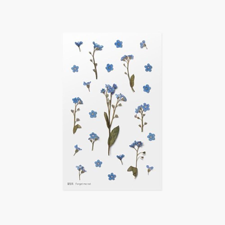 MochiThings: Forget Me Not Pressed Flower Sticker