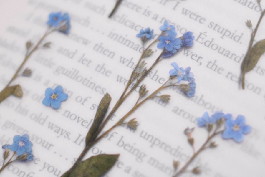 MochiThings: Forget Me Not Pressed Flower Sticker