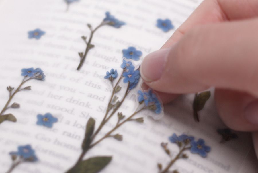 MochiThings: Forget Me Not Pressed Flower Sticker