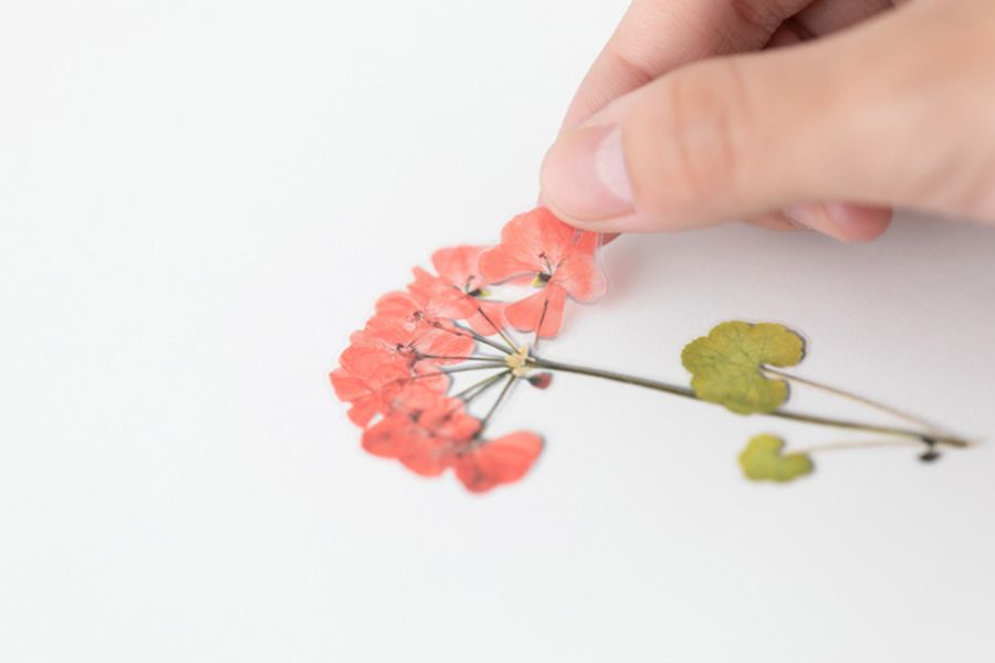 MochiThings: Geranium Pressed Flower Sticker