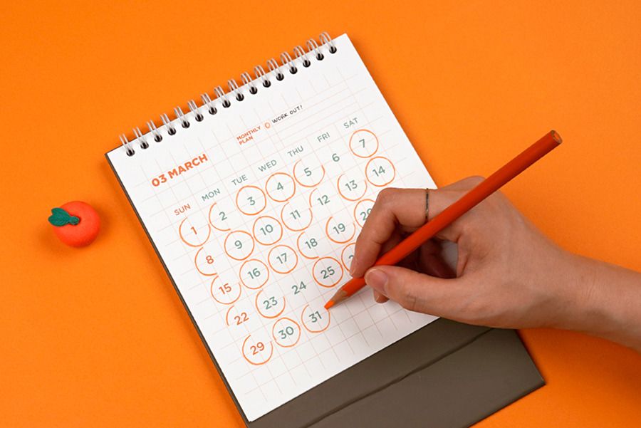 MochiThings: 2020 My Schedule Keeper Desk Calendar