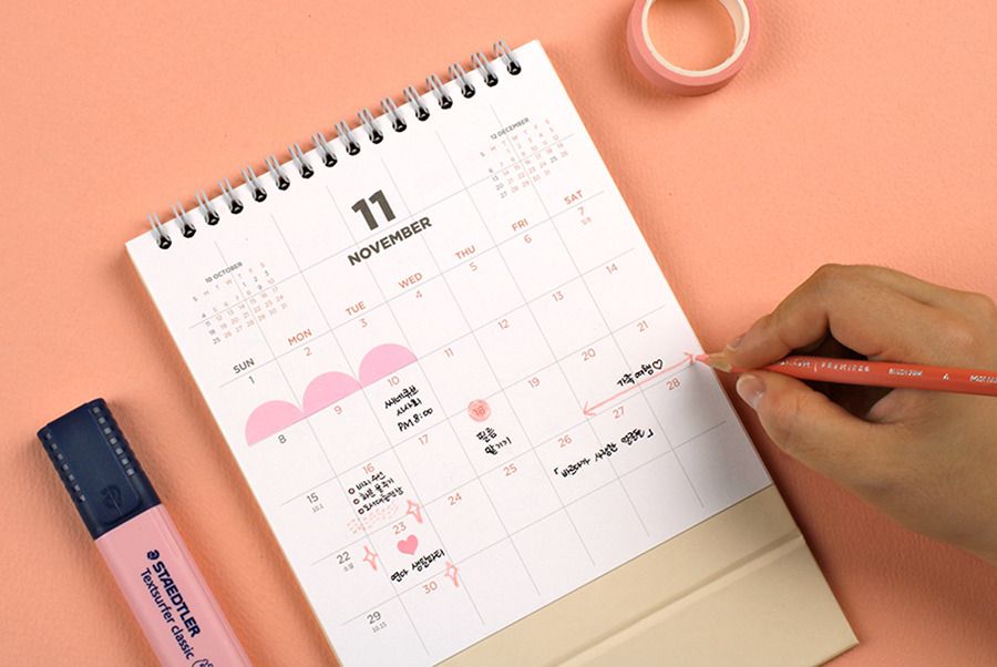 MochiThings: 2020 My Schedule Keeper Desk Calendar