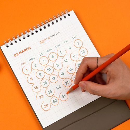 MochiThings: 2020 My Schedule Keeper Desk Calendar