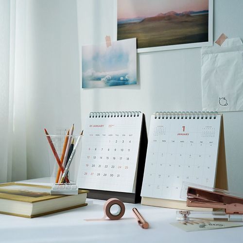 MochiThings: 2020 My Schedule Keeper Desk Calendar
