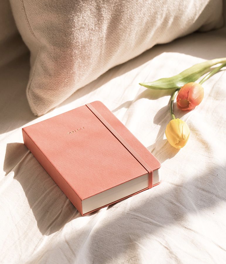 MochiThings: 2020 Object Daily Planner