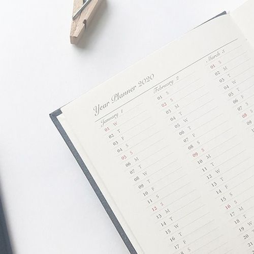 MochiThings: 2020 Vintage Daily Planner