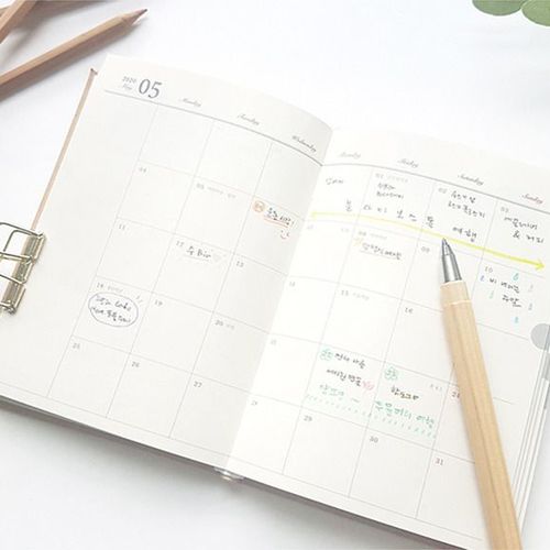 MochiThings: 2020 Vintage Daily Planner