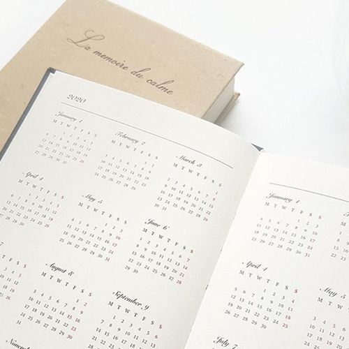 MochiThings: 2020 Vintage Daily Planner