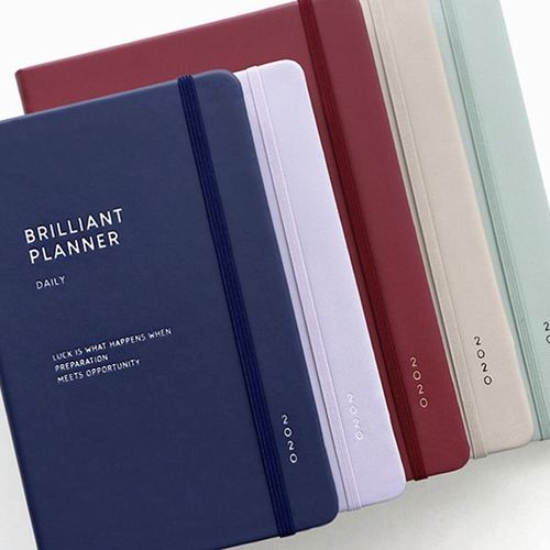 MochiThings: 2020 Brilliant Daily Planner