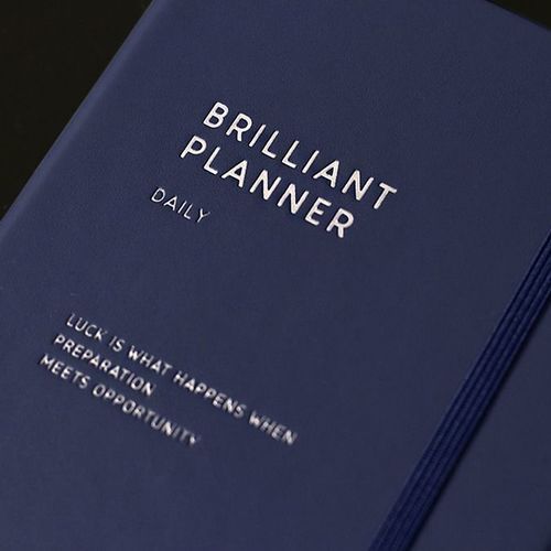 MochiThings: 2020 Brilliant Daily Planner