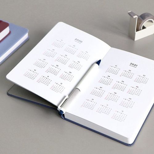 MochiThings: 2020 Brilliant Daily Planner
