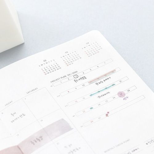 MochiThings: 2020 Brilliant Daily Planner