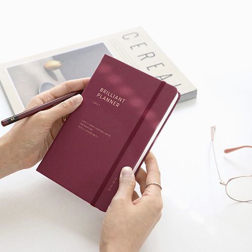MochiThings: 2020 Brilliant Daily Planner