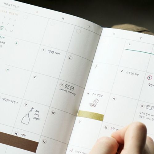 MochiThings: Your Record Planner