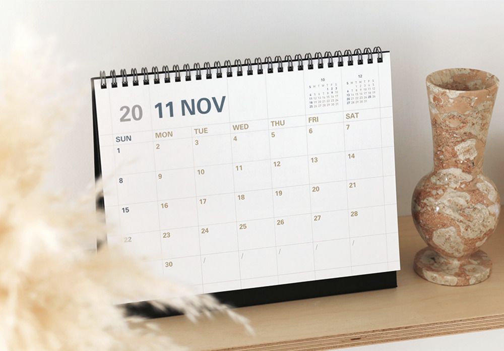 MochiThings: 2020 Prism Desk Calendar