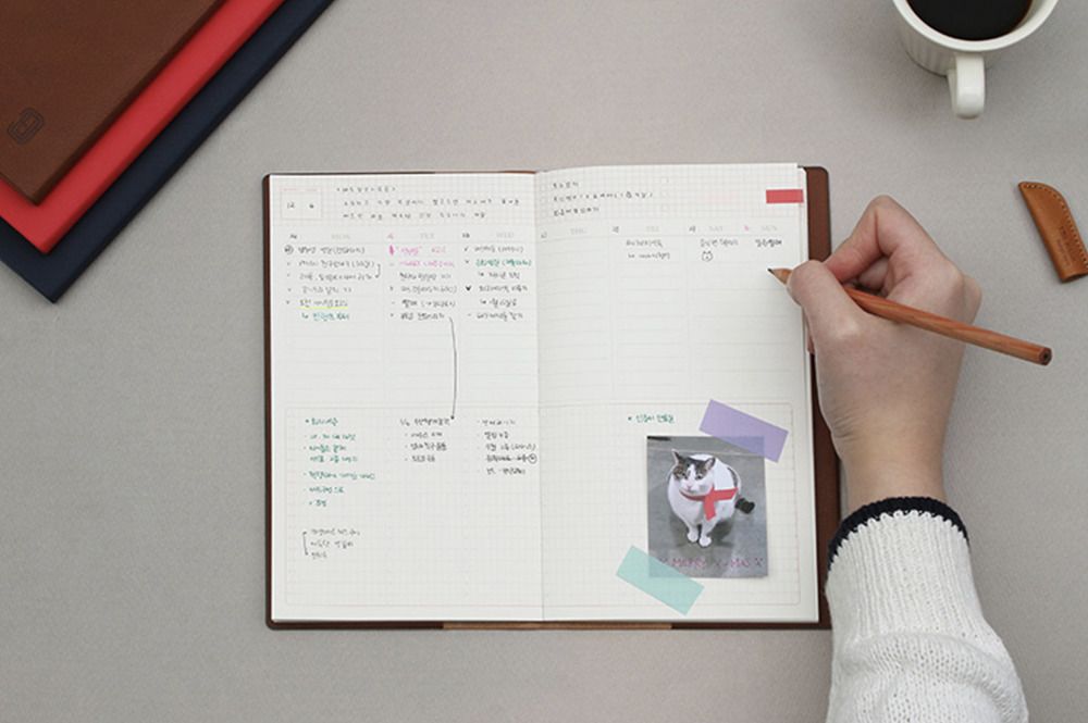 MochiThings: Large ABC Notebook