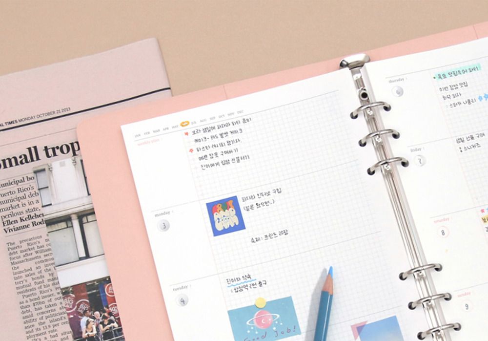 MochiThings: Standard 6 Ring A5 Planner