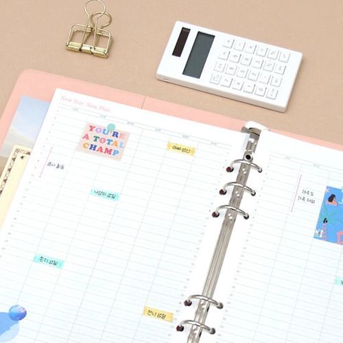 MochiThings: Standard 6 Ring A5 Planner