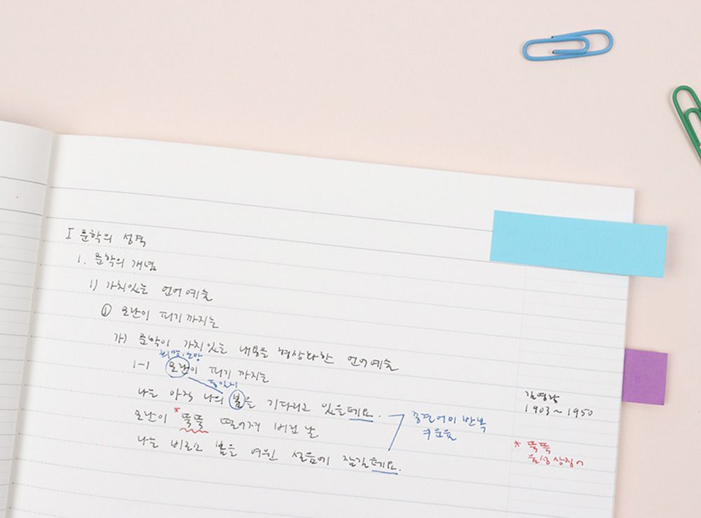 MochiThings: Large Literature Study Notebook