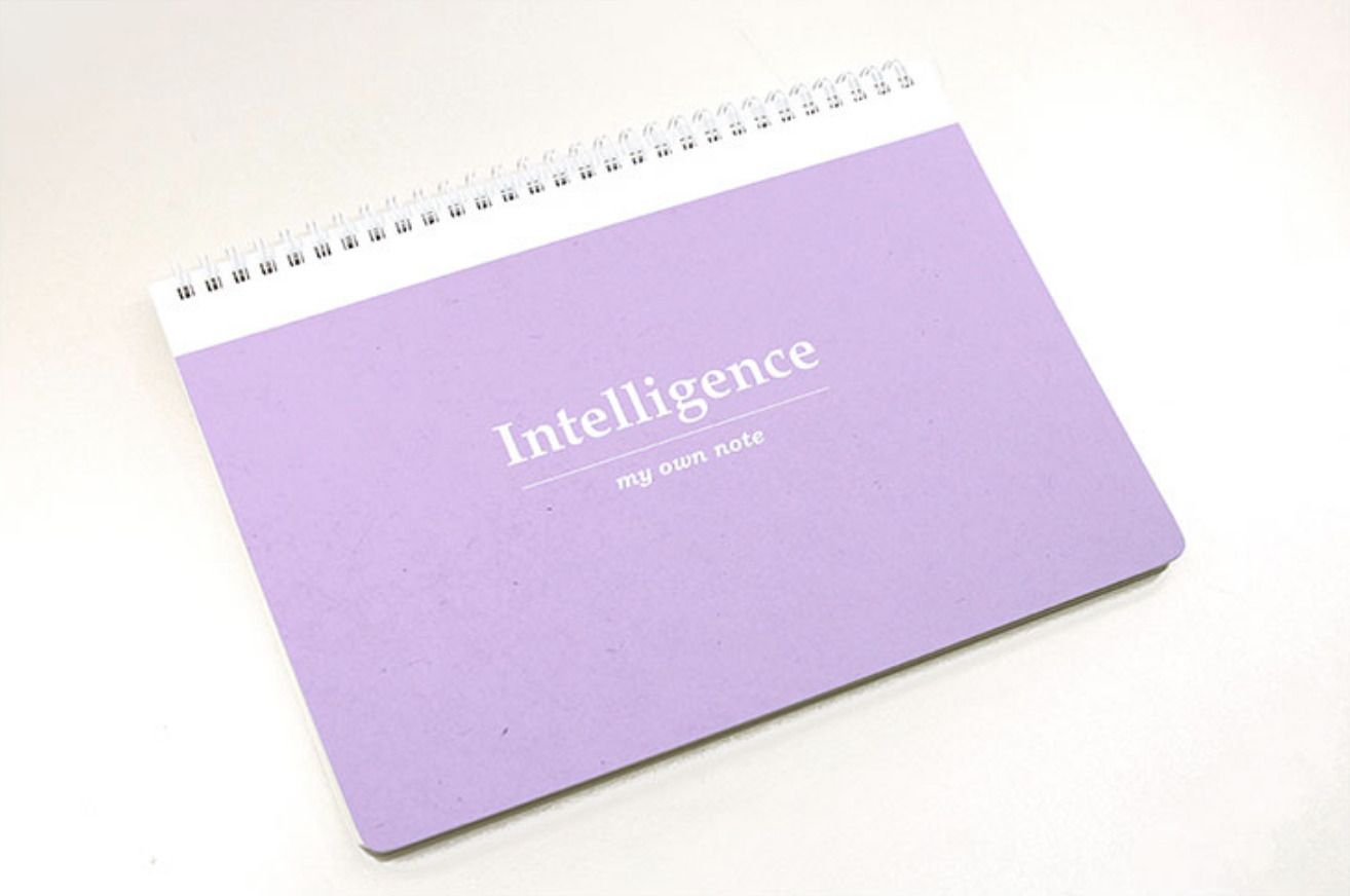 MochiThings: Pastel B5 Grid+Lined Notebook